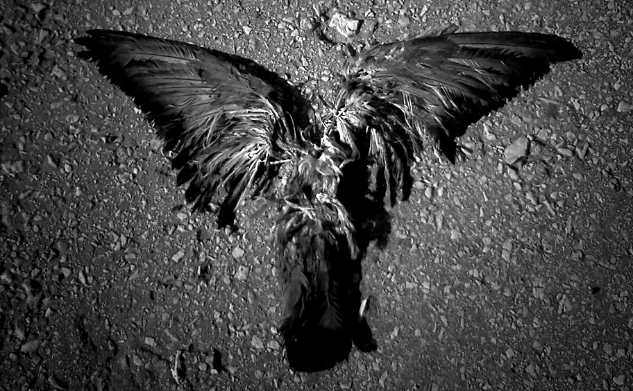 Strange Angels – Smehur